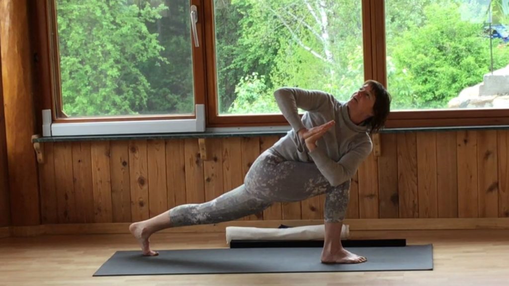 90 min Twisting & Core Full Props - Yoga for Backs